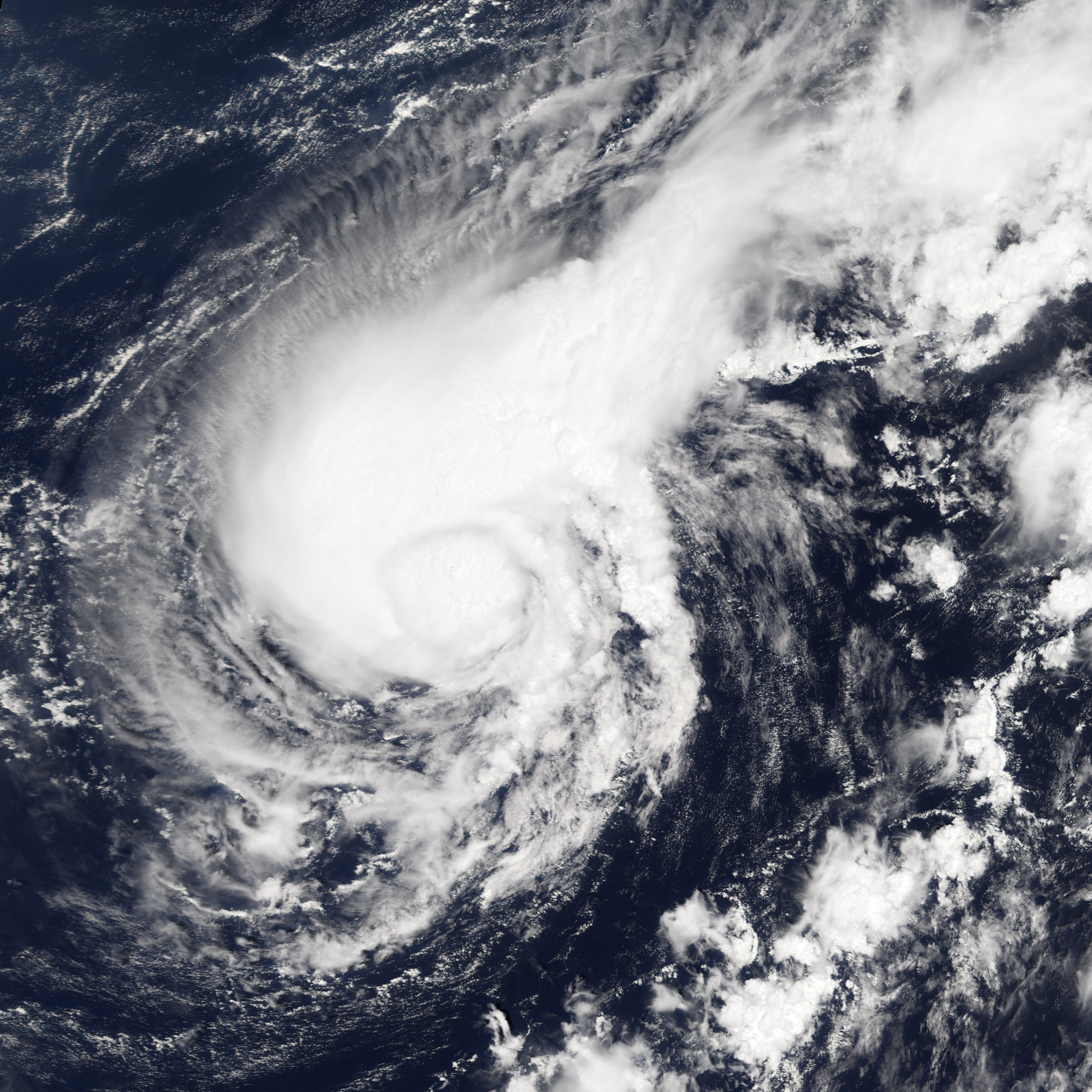 Stars Shining the Spotlight on Hurricane Harvey - Onstage Magazine.com